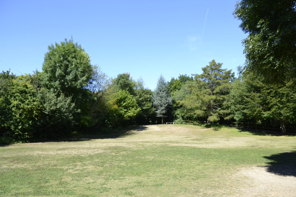 Activity Field | Huish Woods Campsite